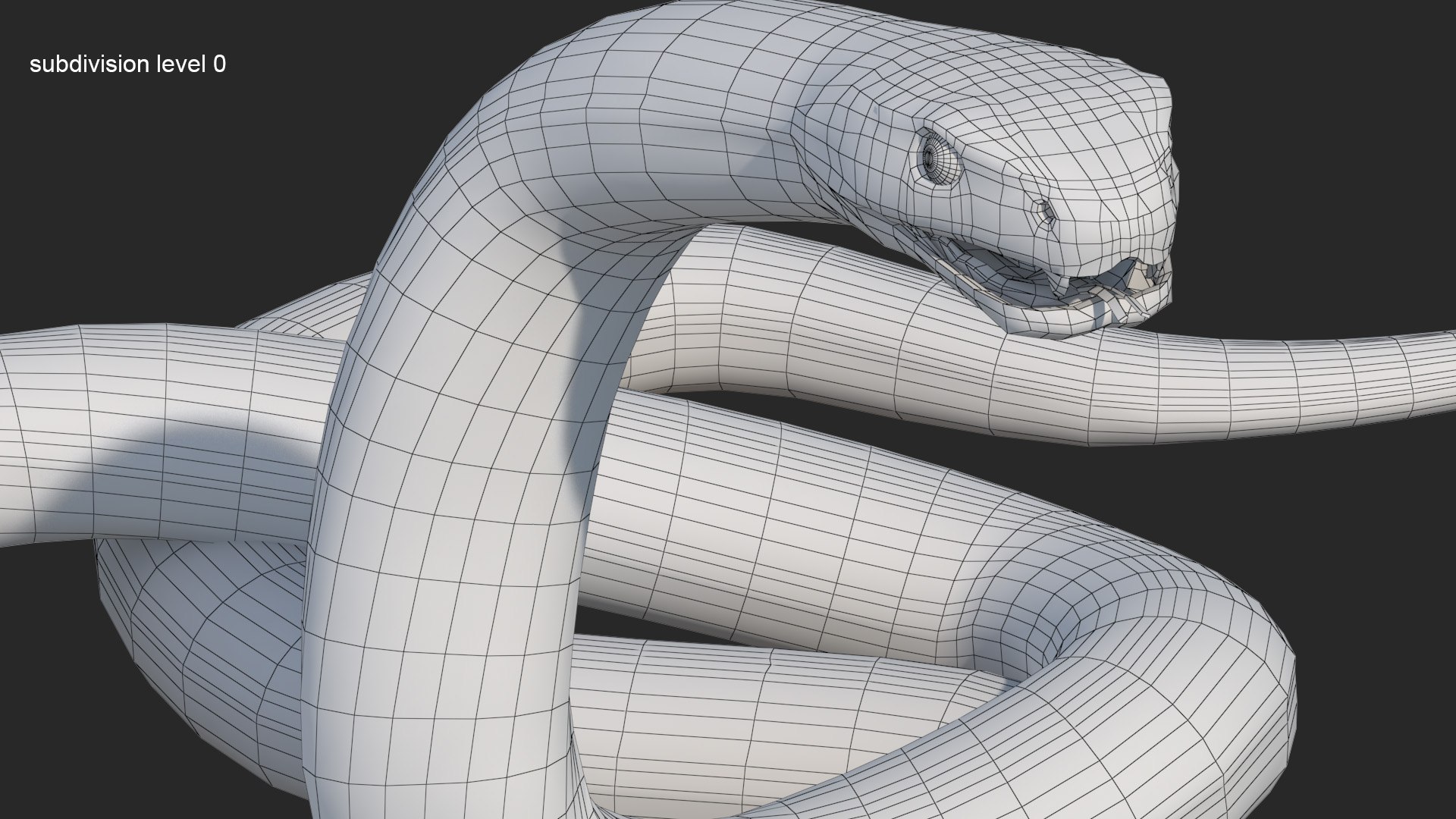 anacondas snakes 3d model