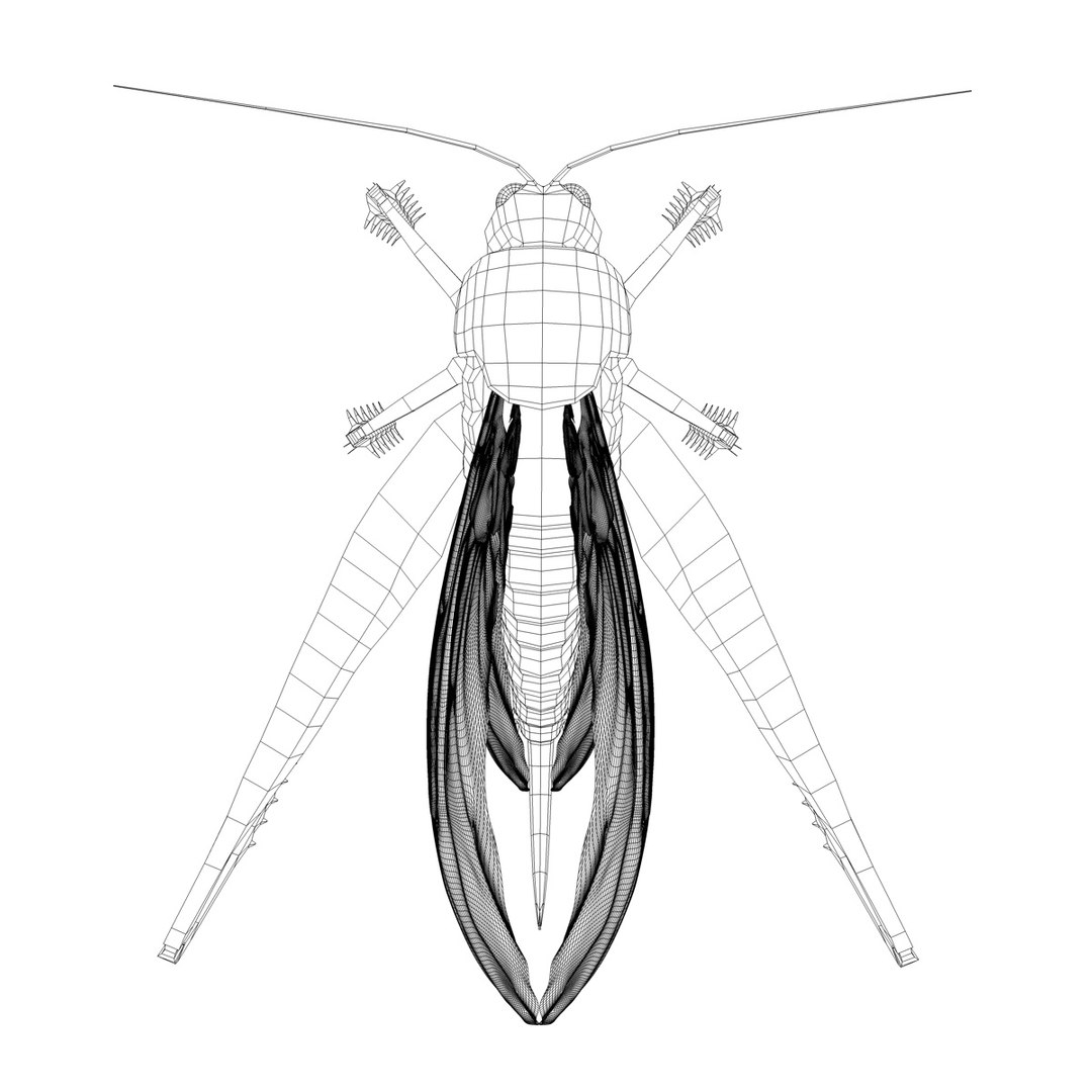 Grasshopper 3d C4d