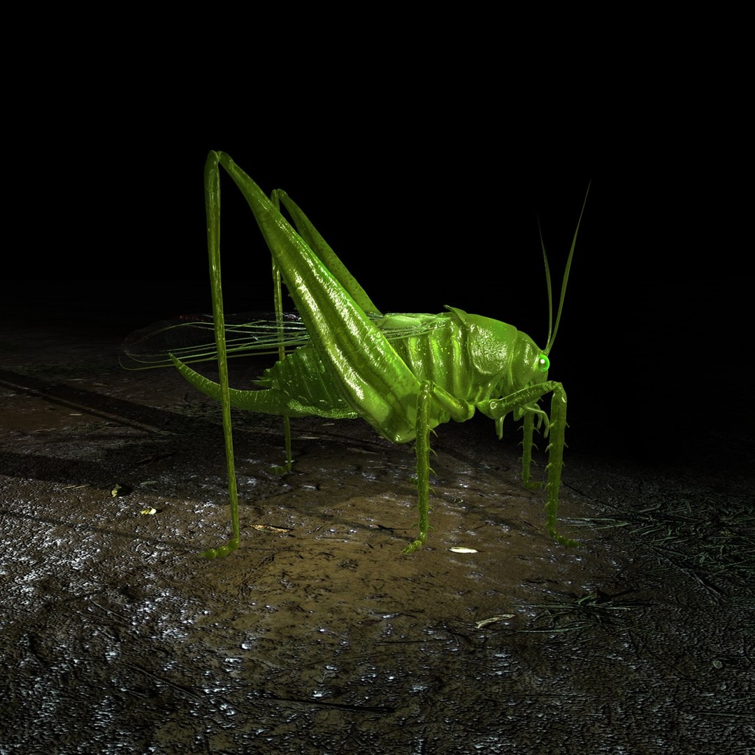 Grasshopper 3d C4d