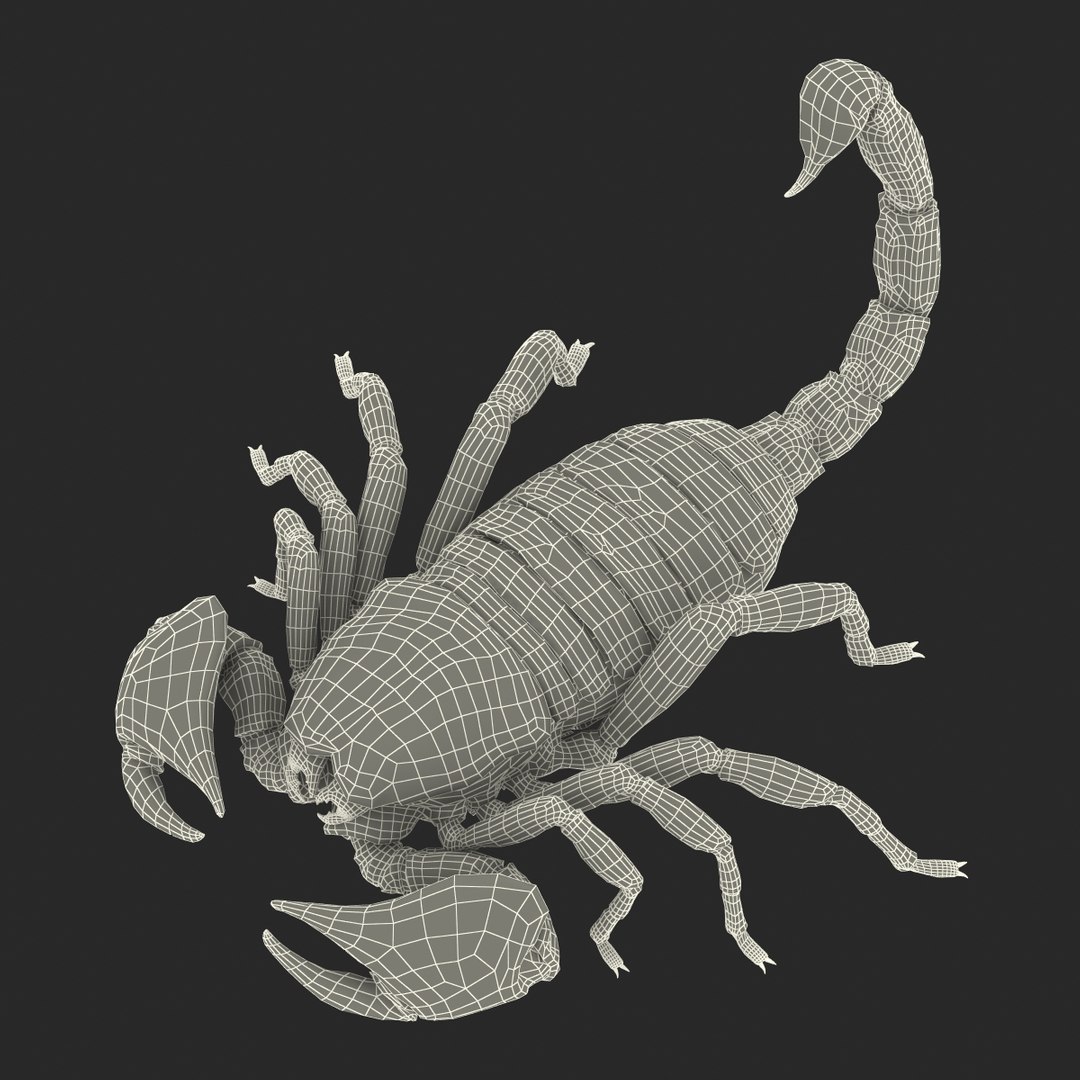 3d model scorpion pose 3