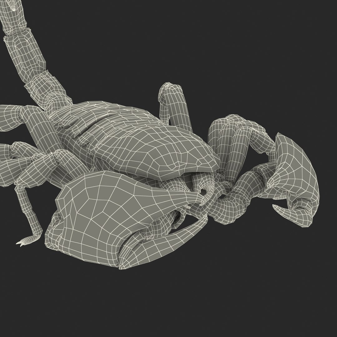 3d model scorpion pose 3