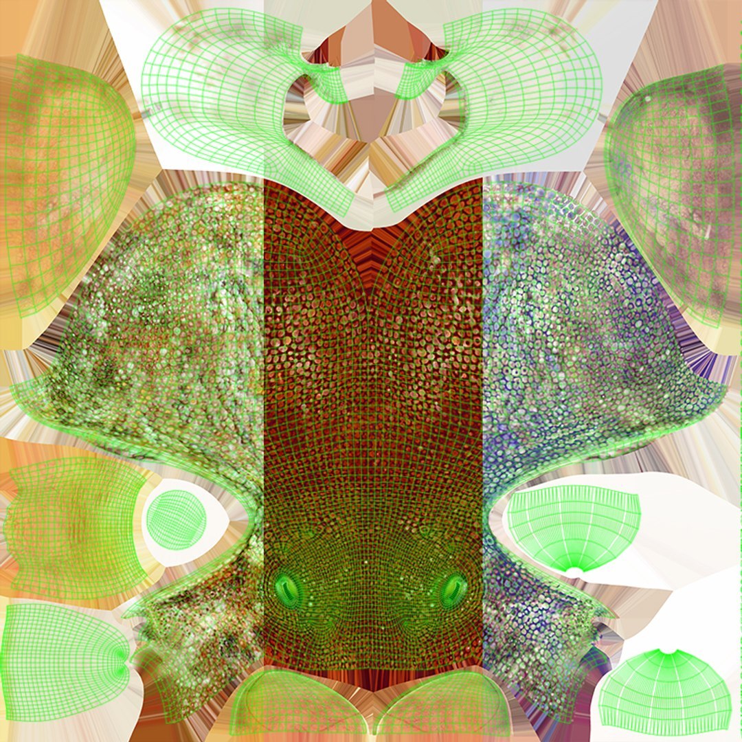 Octopus Rigged Multicolor 3D - TurboSquid 2102756