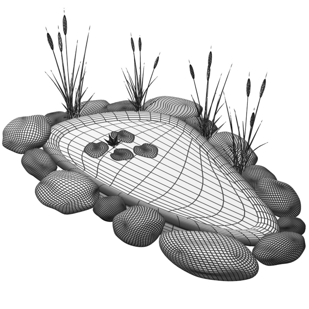 fish pond 3d model