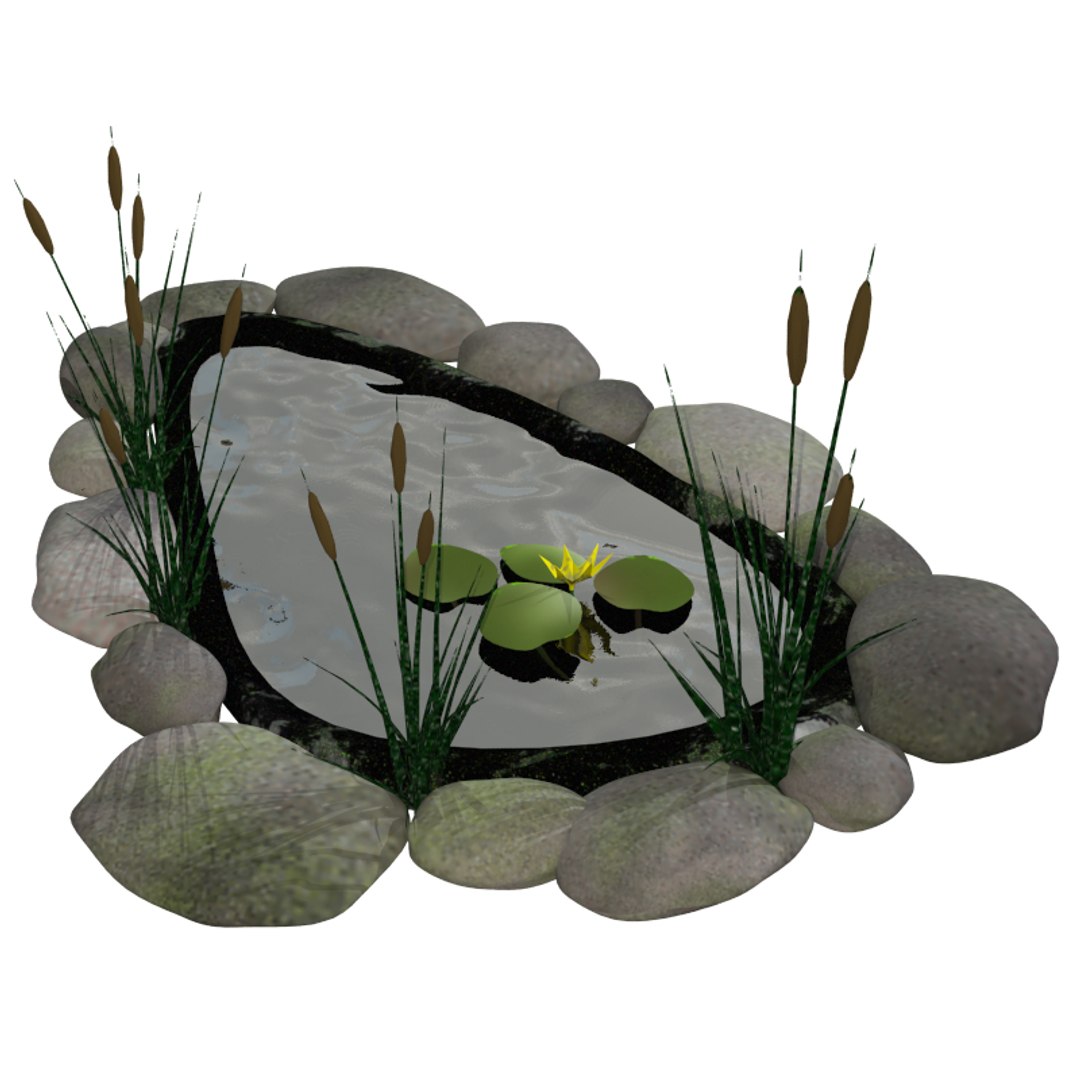fish pond 3d model