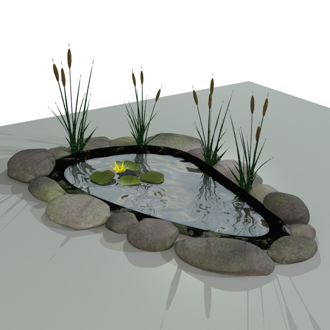fish pond 3d model