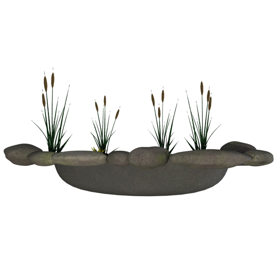fish pond 3d model