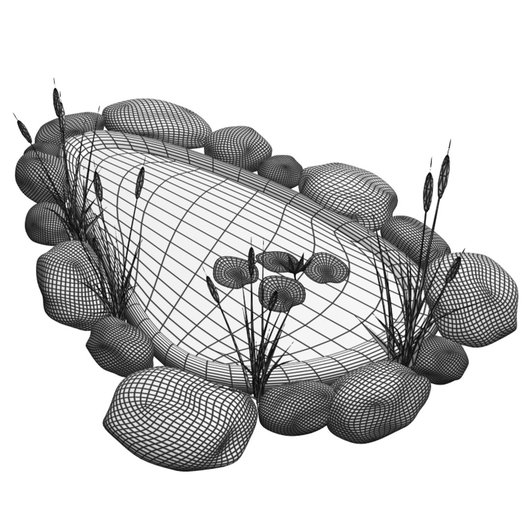 fish pond 3d model