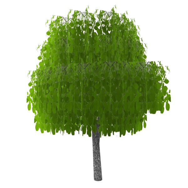 3d pc tree