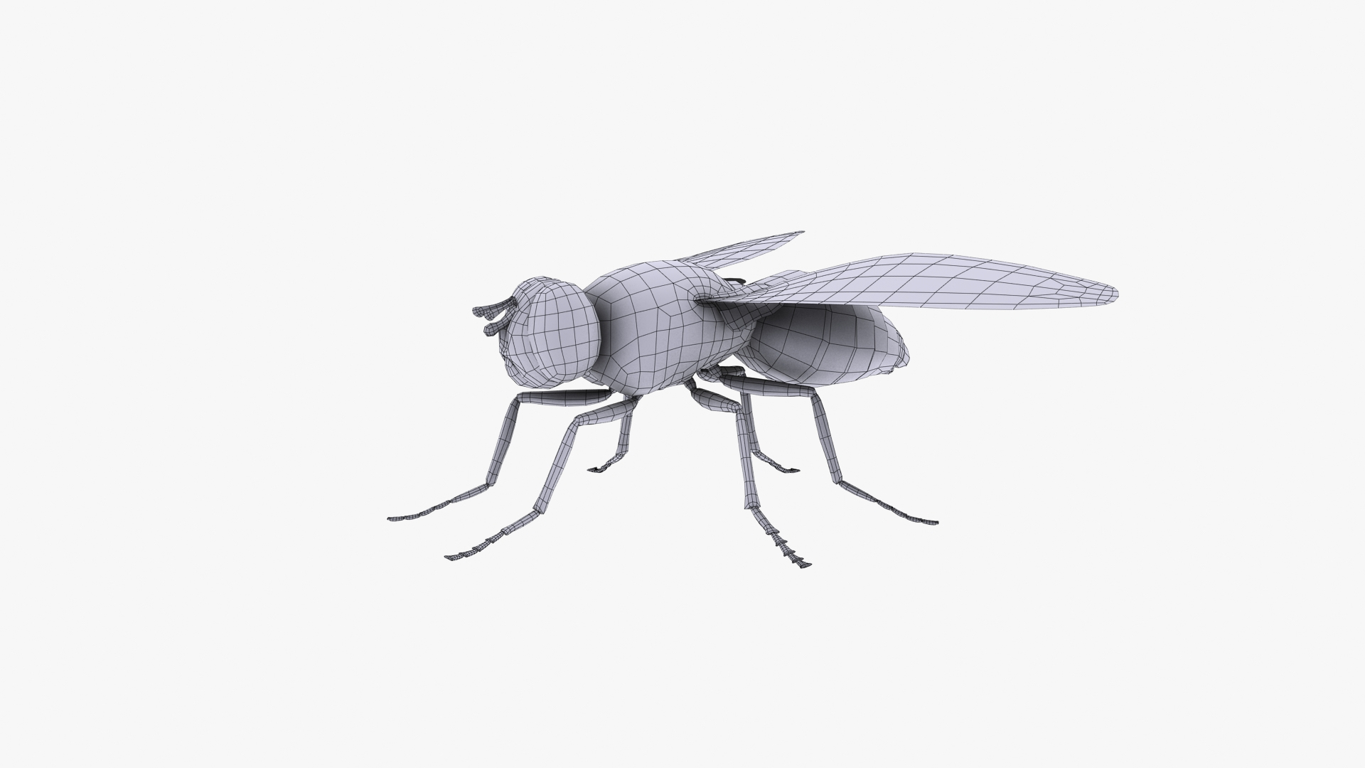 3ds Max Fly