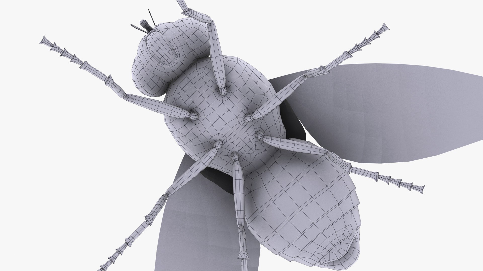 3ds Max Fly