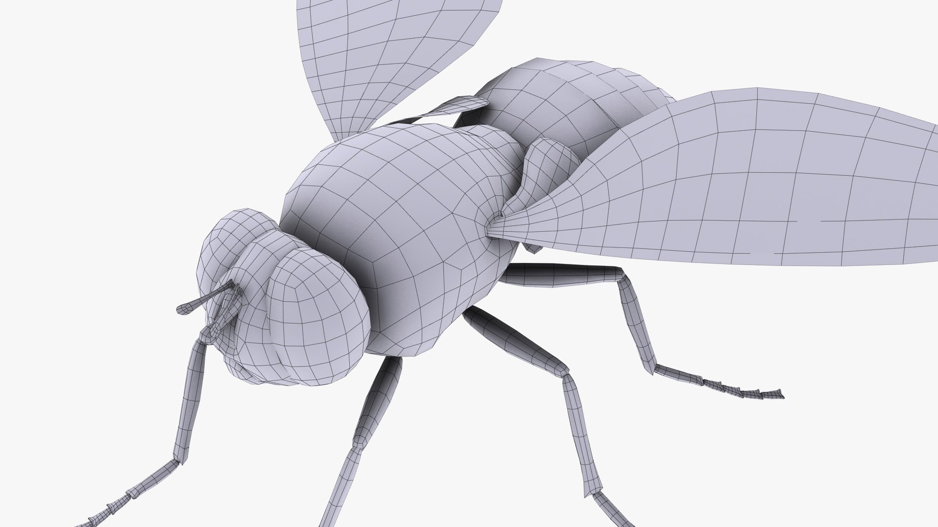 3ds Max Fly