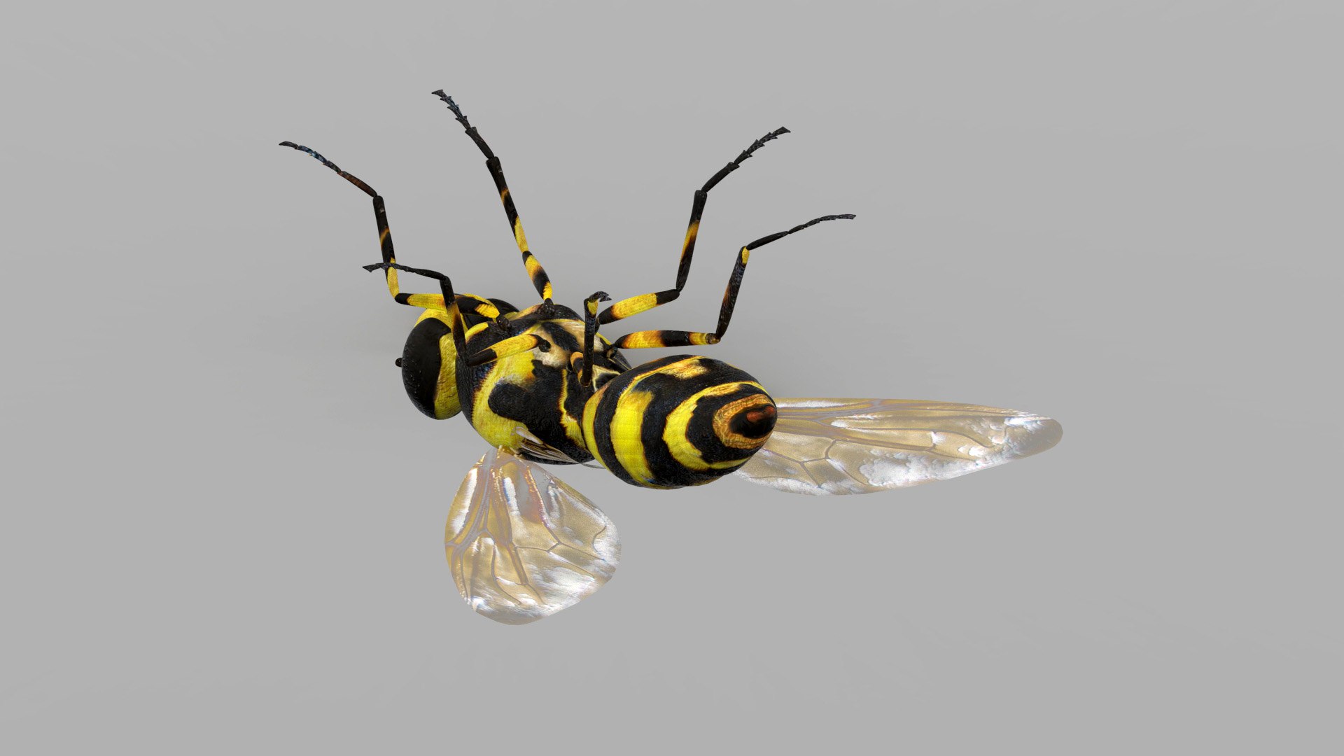 3ds Max Fly