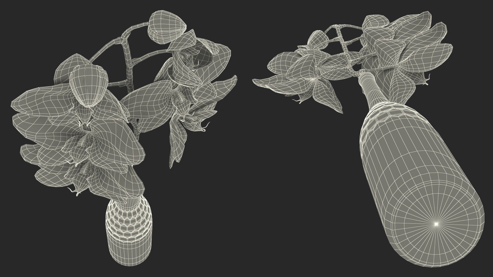 Pink Orchid Stem in Tall Vase 3D model - TurboSquid 2082870