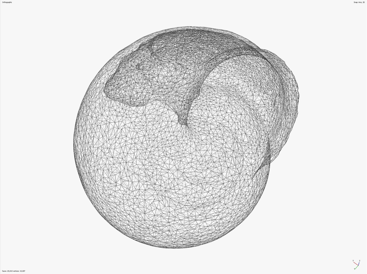 SNAIL SHELL CROSS-POLARIZED 3D SCAN LOW HIGH POLY 3D MODEL 16k 8k ...