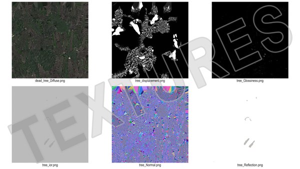 3D spooky old twisted tree winter model - TurboSquid 1549688