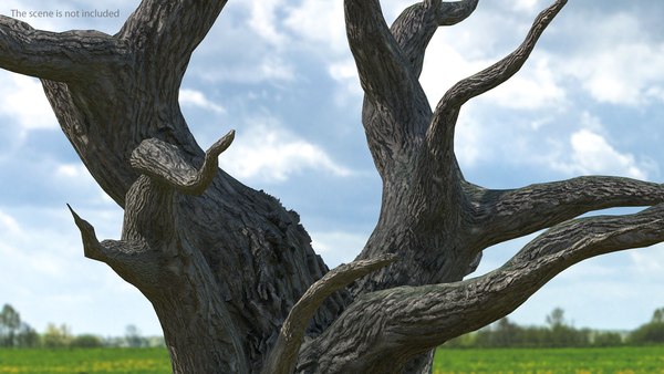 3D spooky old twisted tree winter model - TurboSquid 1549688