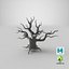 3D Spooky Old Twisted Tree Winter Model - TurboSquid 1549688