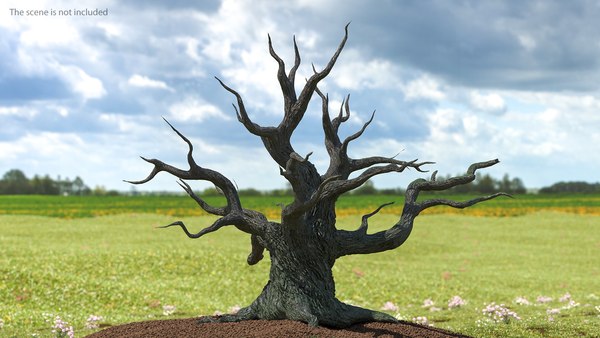 3D spooky old twisted tree winter model - TurboSquid 1549688