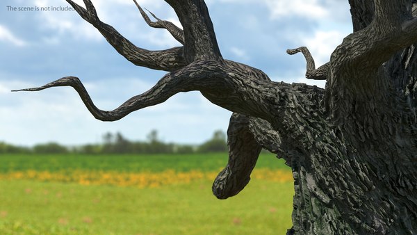 3D spooky old twisted tree winter model - TurboSquid 1549688