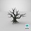 3D Spooky Old Twisted Tree Winter Model - TurboSquid 1549688