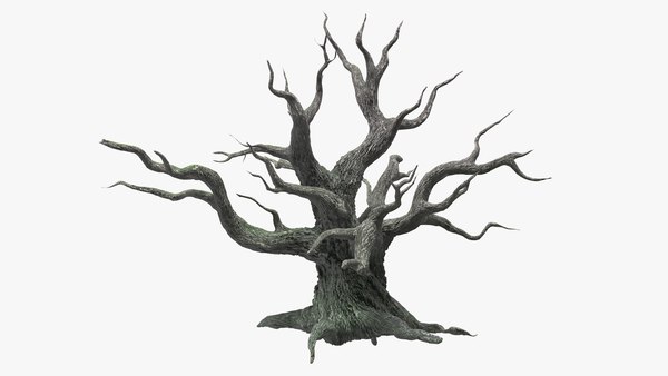 3D spooky old twisted tree winter model - TurboSquid 1549688