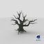 3D Spooky Old Twisted Tree Winter Model - TurboSquid 1549688