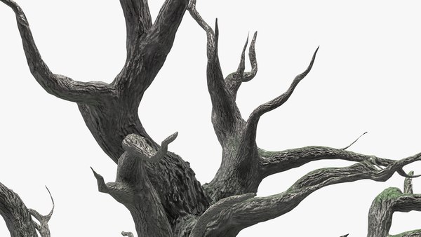 3D spooky old twisted tree winter model - TurboSquid 1549688