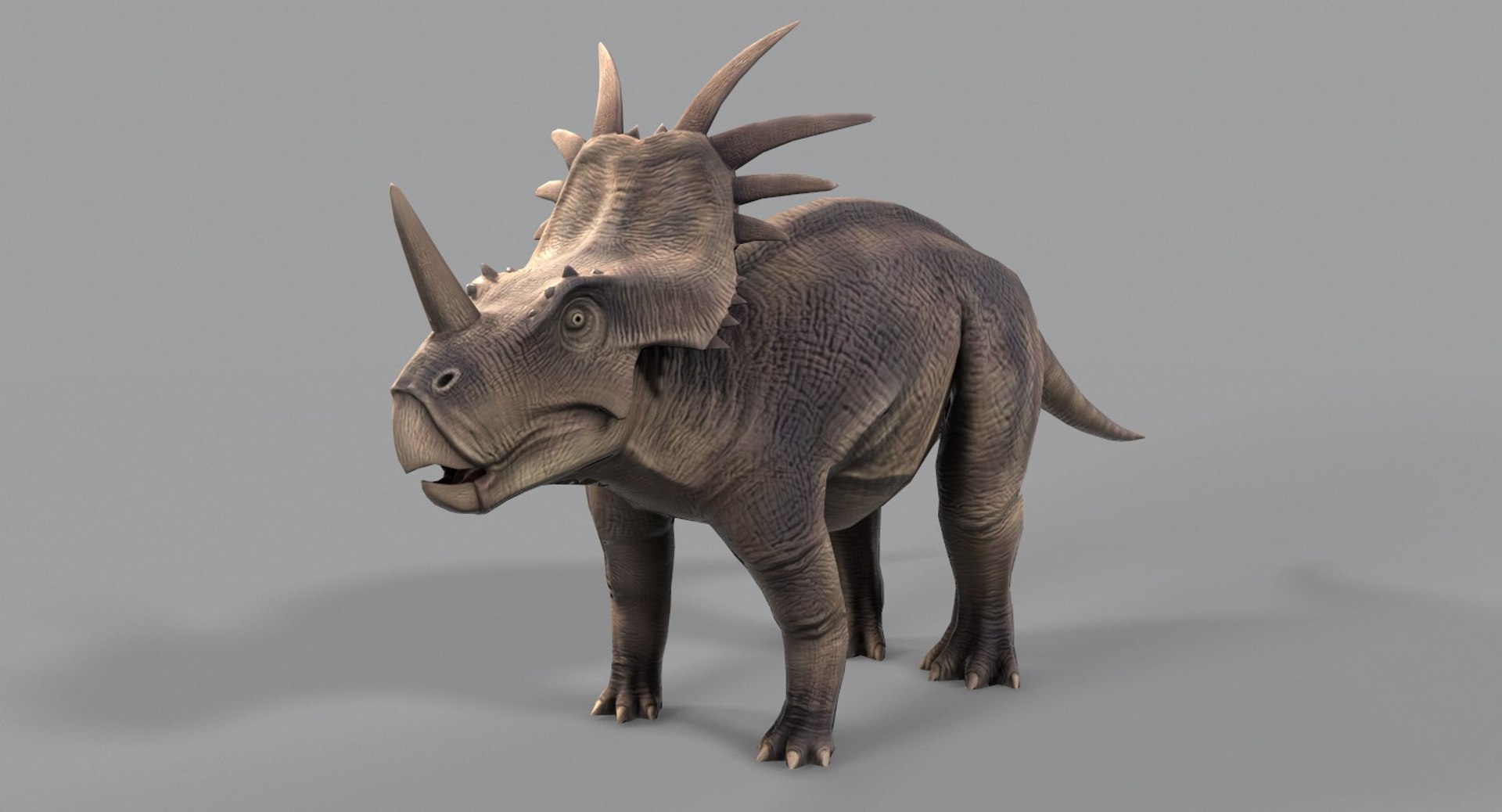 Styracosaurus Dinosaur Games 3D Model - TurboSquid 1297003
