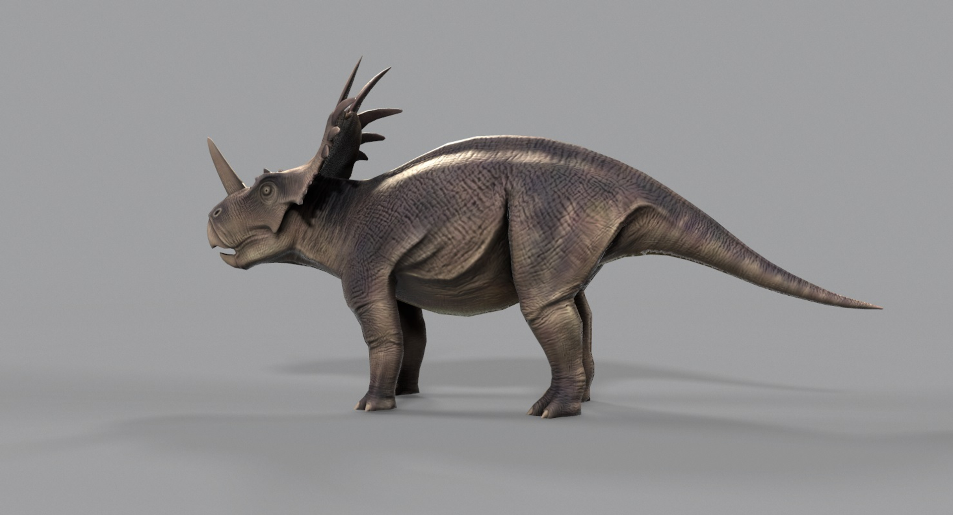 Dinosaurs Styracosaurus