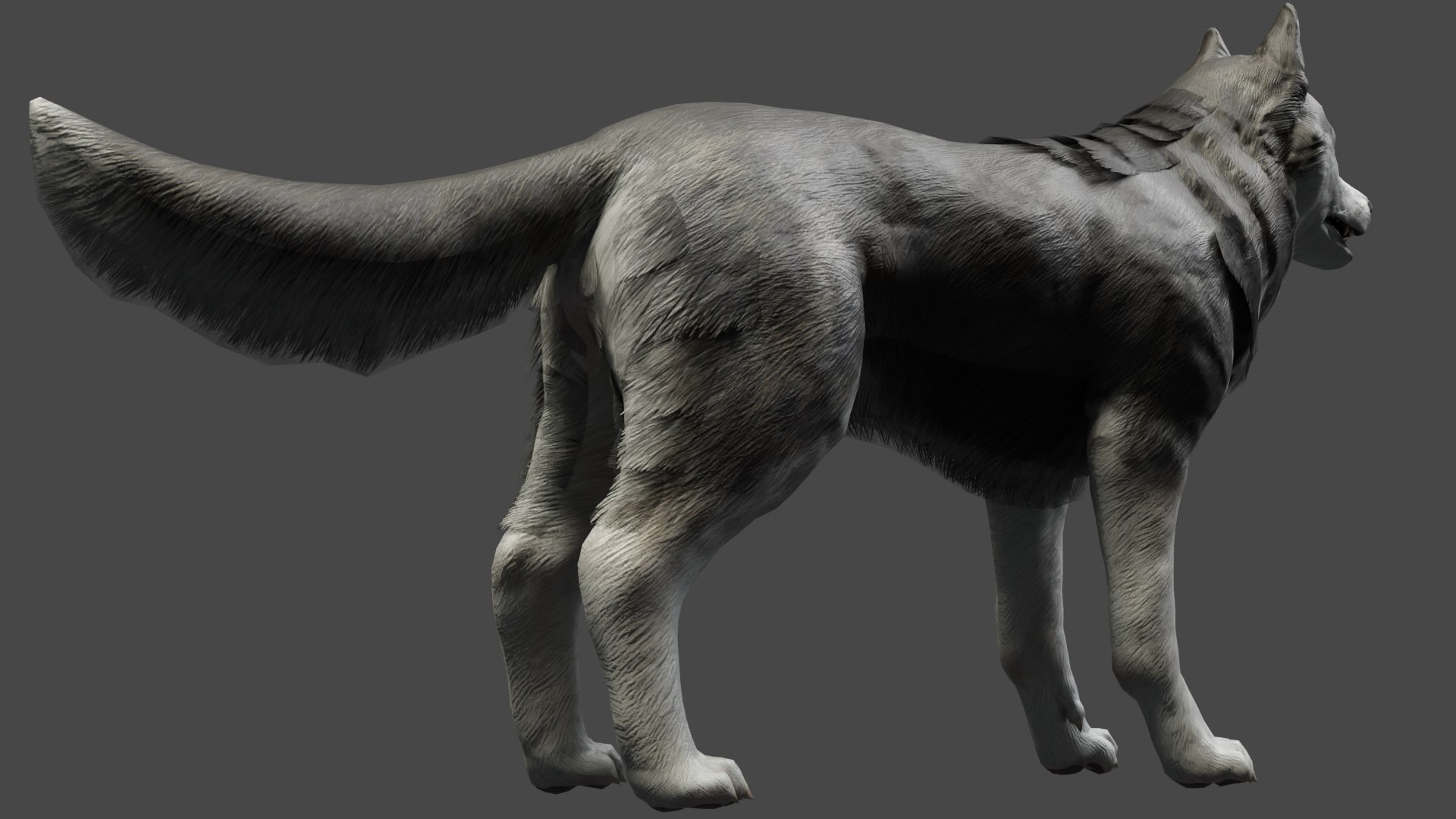 3D DOG - HUSKY - TurboSquid 2030815