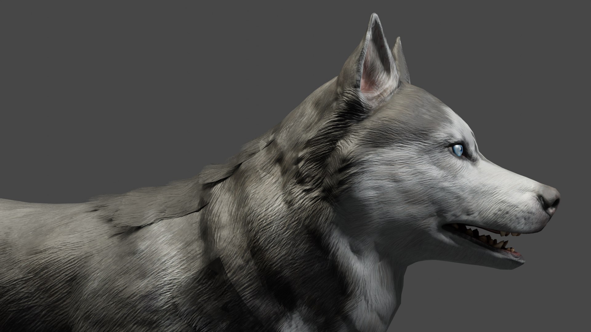 3D DOG - HUSKY - TurboSquid 2030815