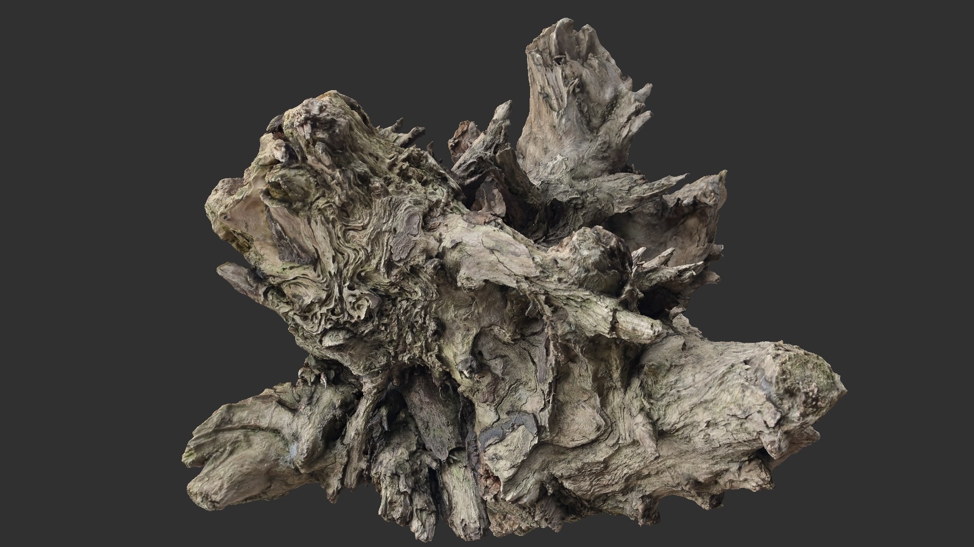 Tree Trunk Scan High Poly 3D Model - TurboSquid 1822852