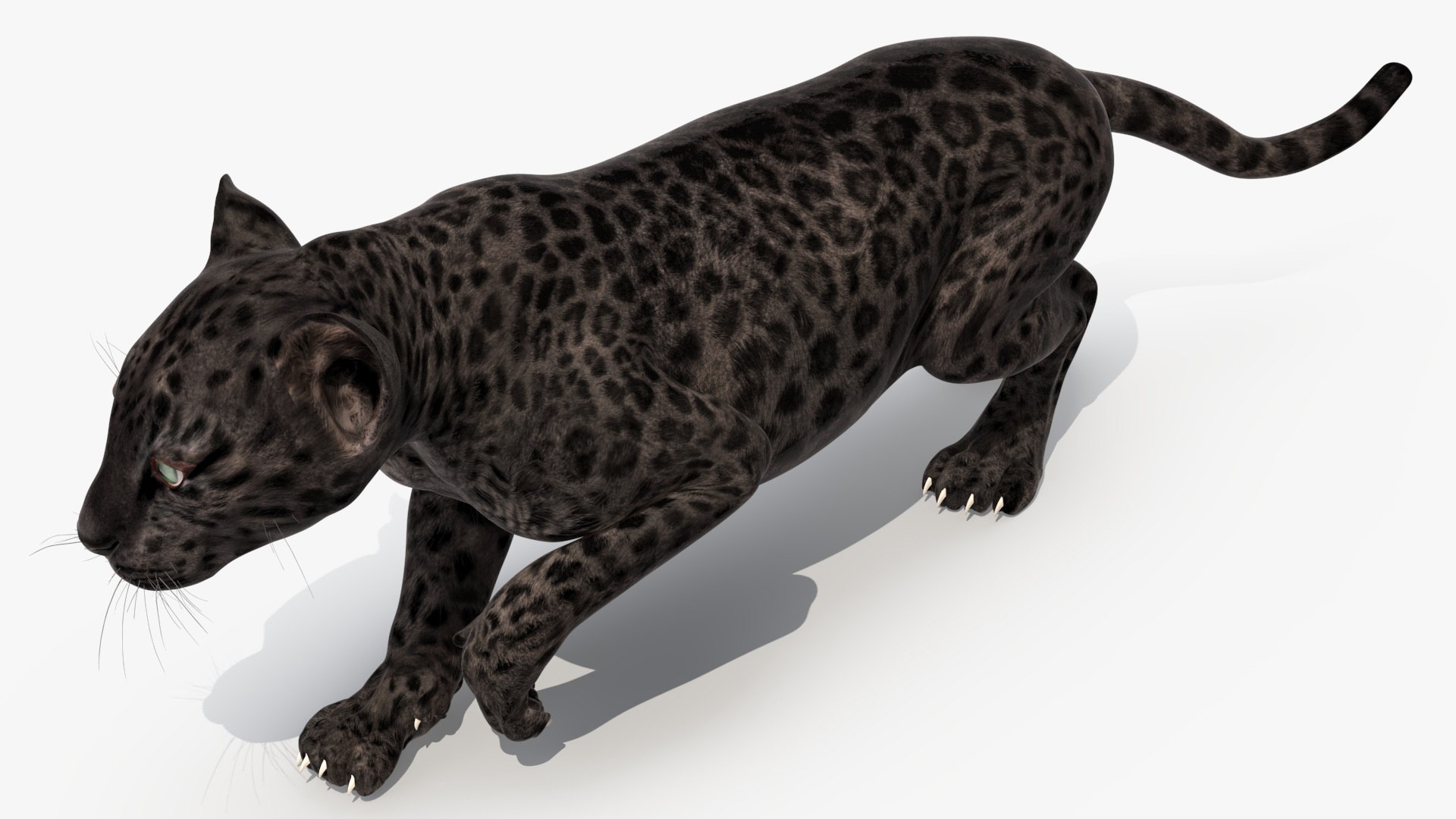 Black Leopard Cub Sneaking Pose 3D Model - TurboSquid 2347085
