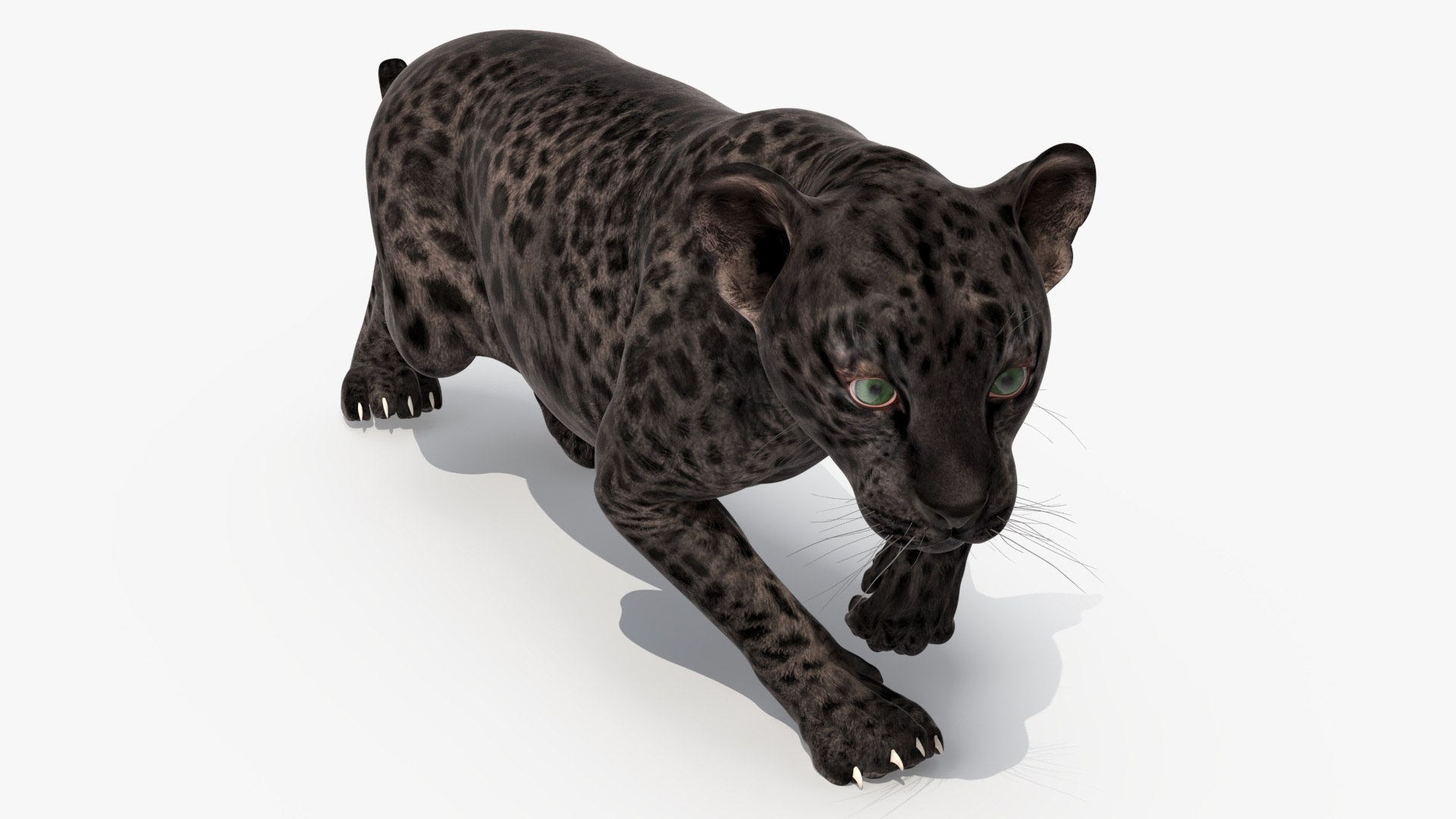 Black Leopard Cub Sneaking Pose 3D Model - TurboSquid 2347085