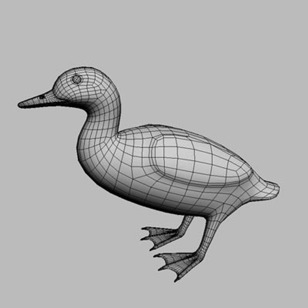 3ds Max Labrador Duck
