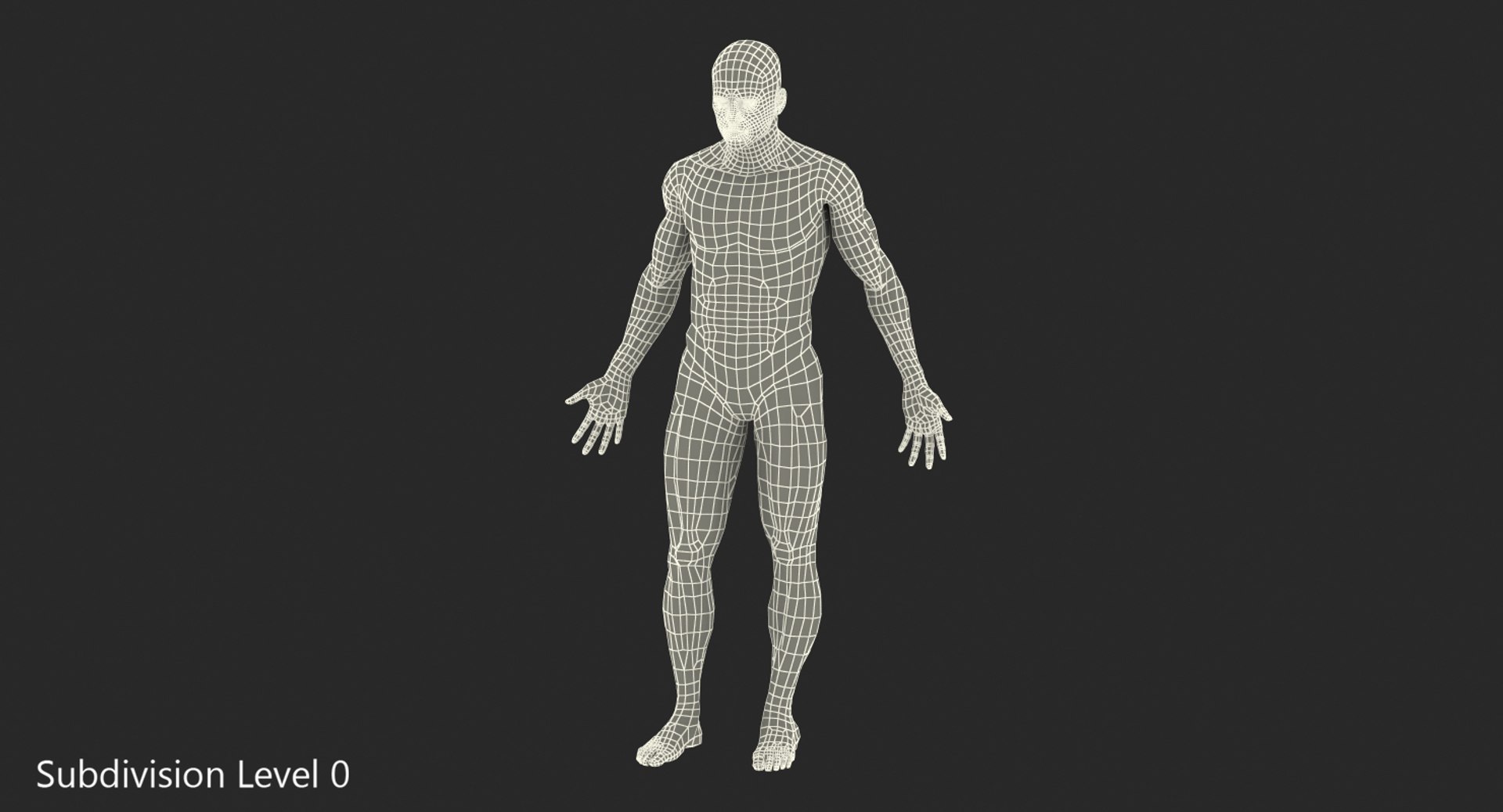Male Anatomy Muscular 3D Model - TurboSquid 1231601