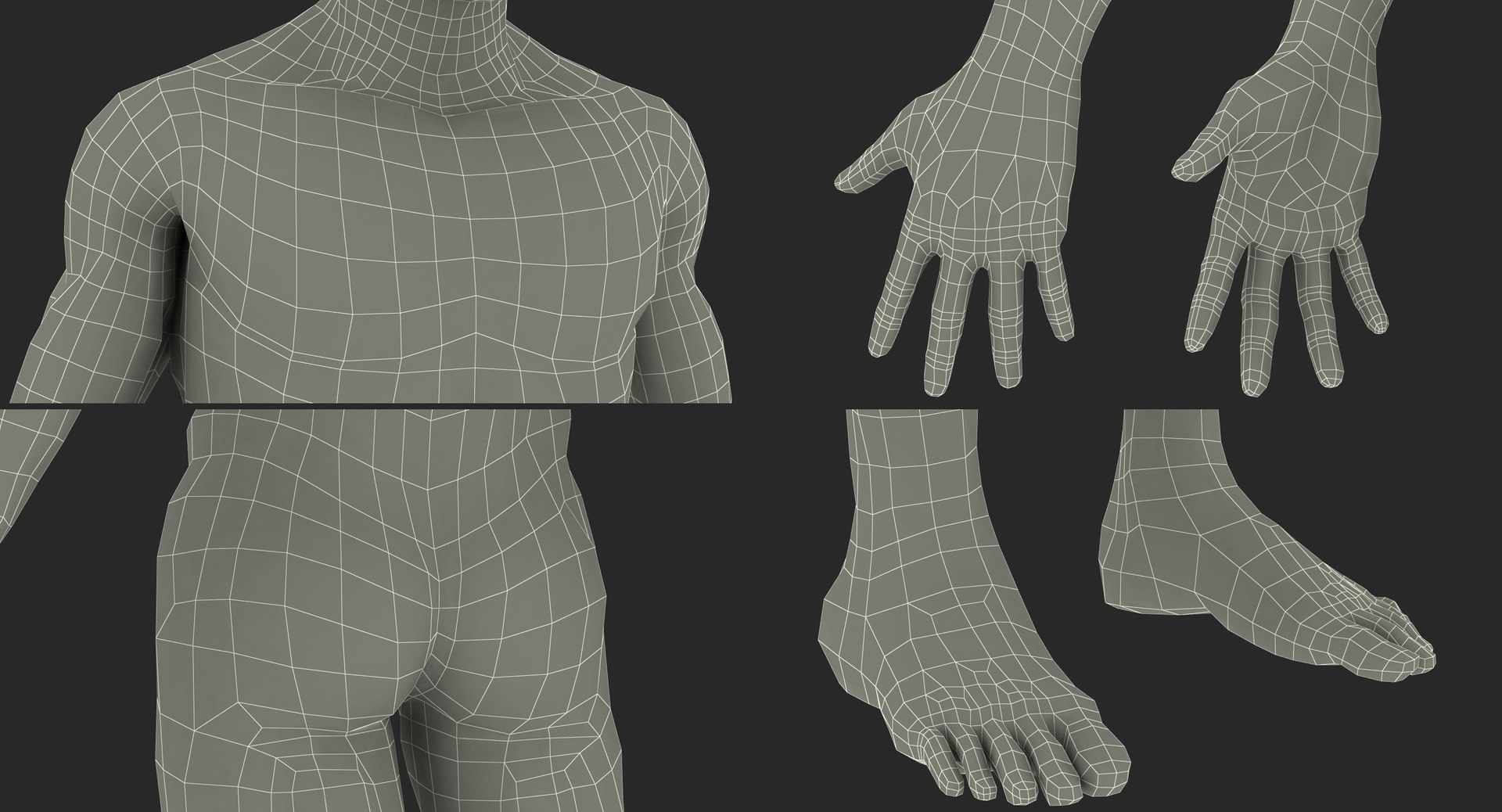 Male anatomy muscular 3D model - TurboSquid 1231601