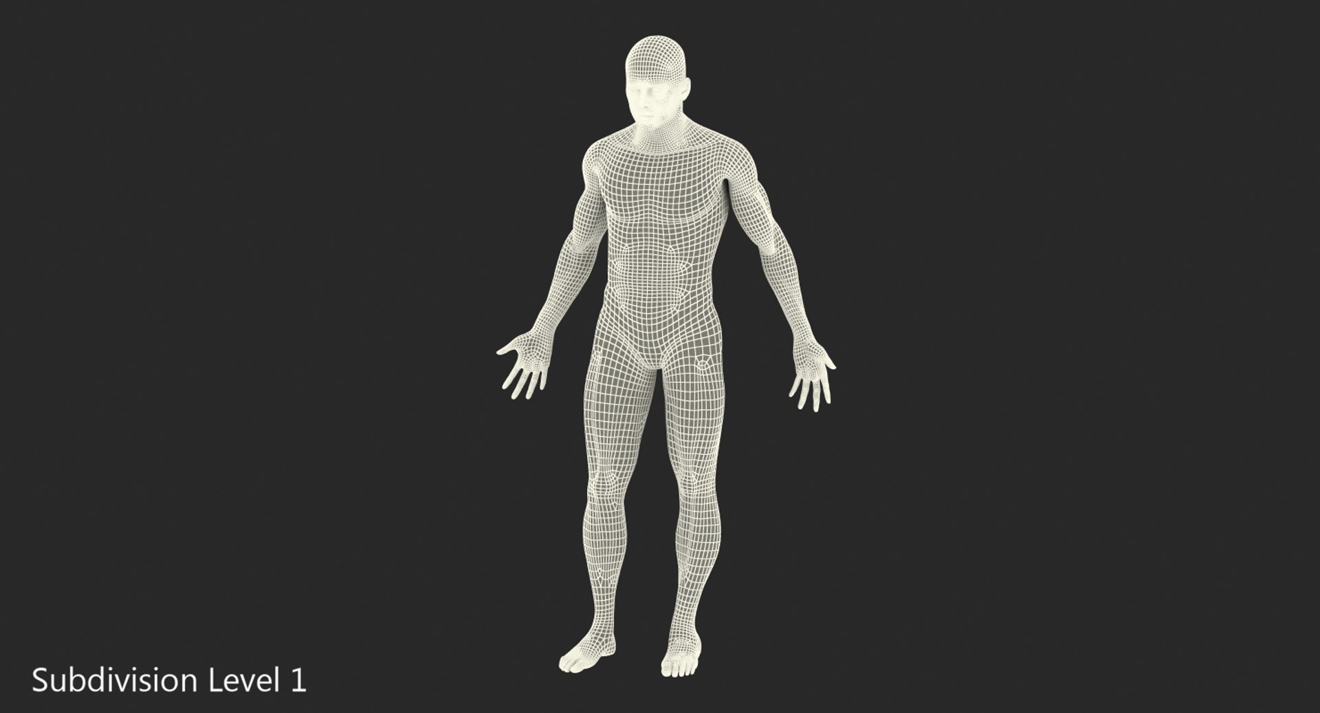 Male Anatomy Muscular 3D Model - TurboSquid 1231601