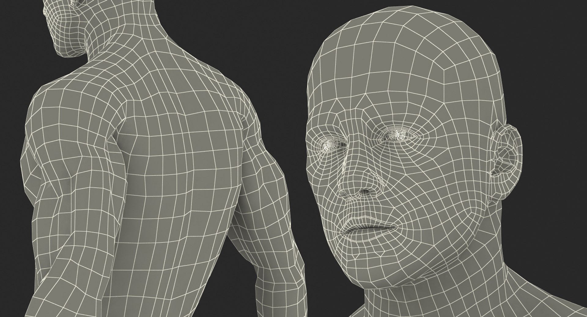 Male Anatomy Muscular 3D Model - TurboSquid 1231601