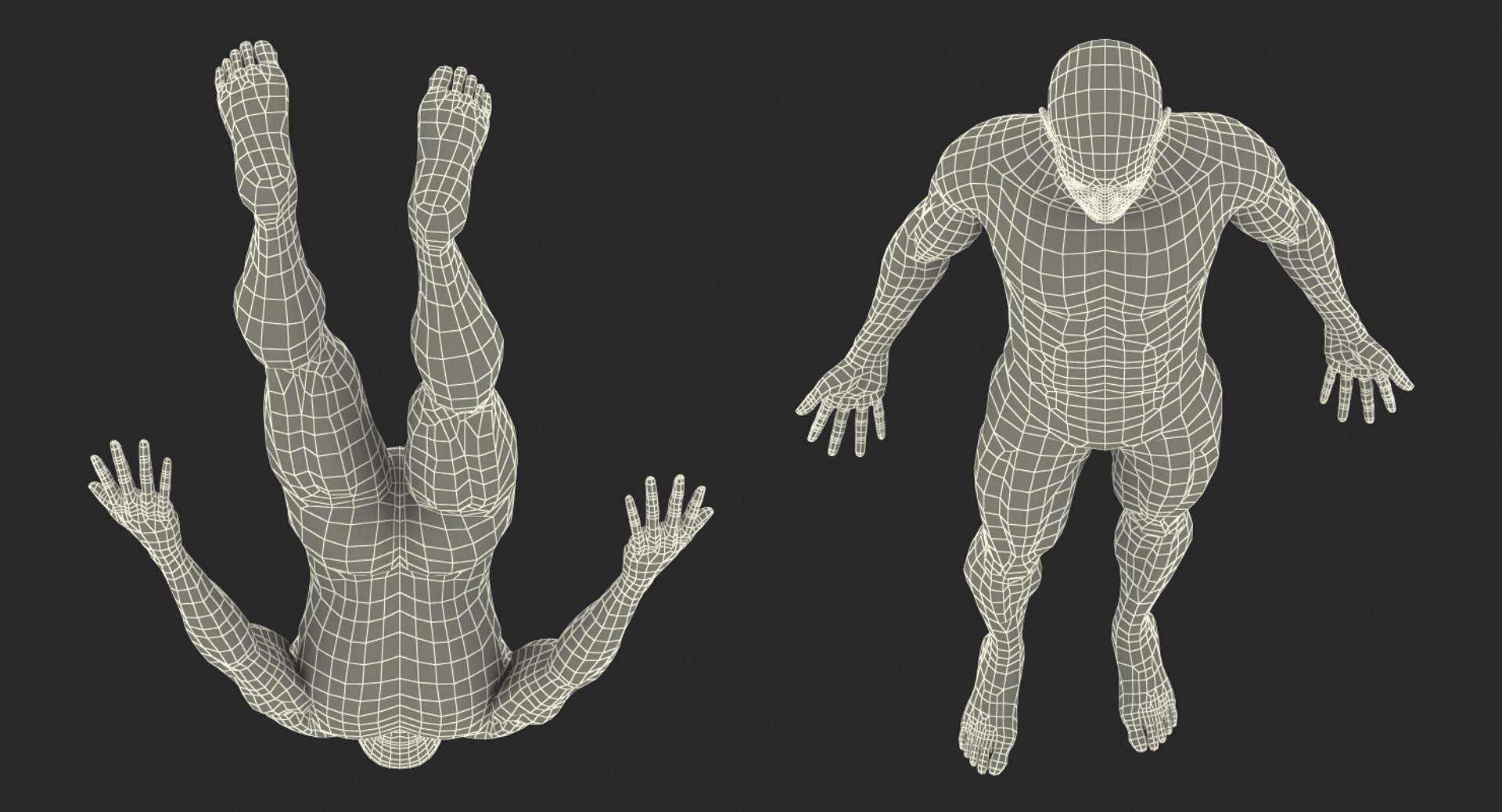 Male Anatomy Muscular 3D Model - TurboSquid 1231601