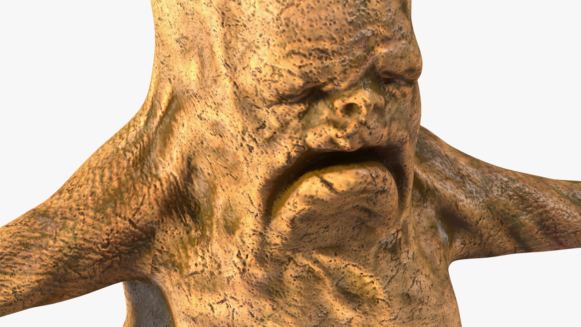 Mandragora 3D model - TurboSquid 1848536