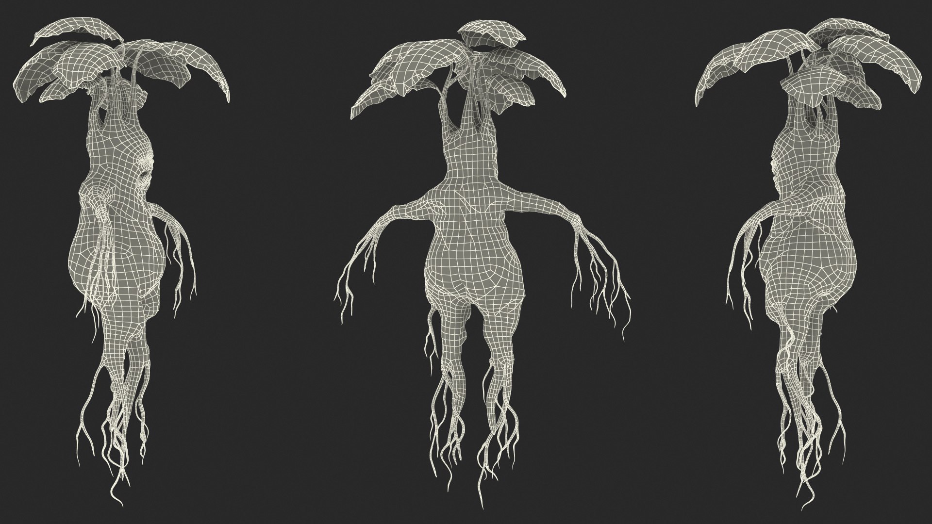 Mandragora 3D Model - TurboSquid 1848536