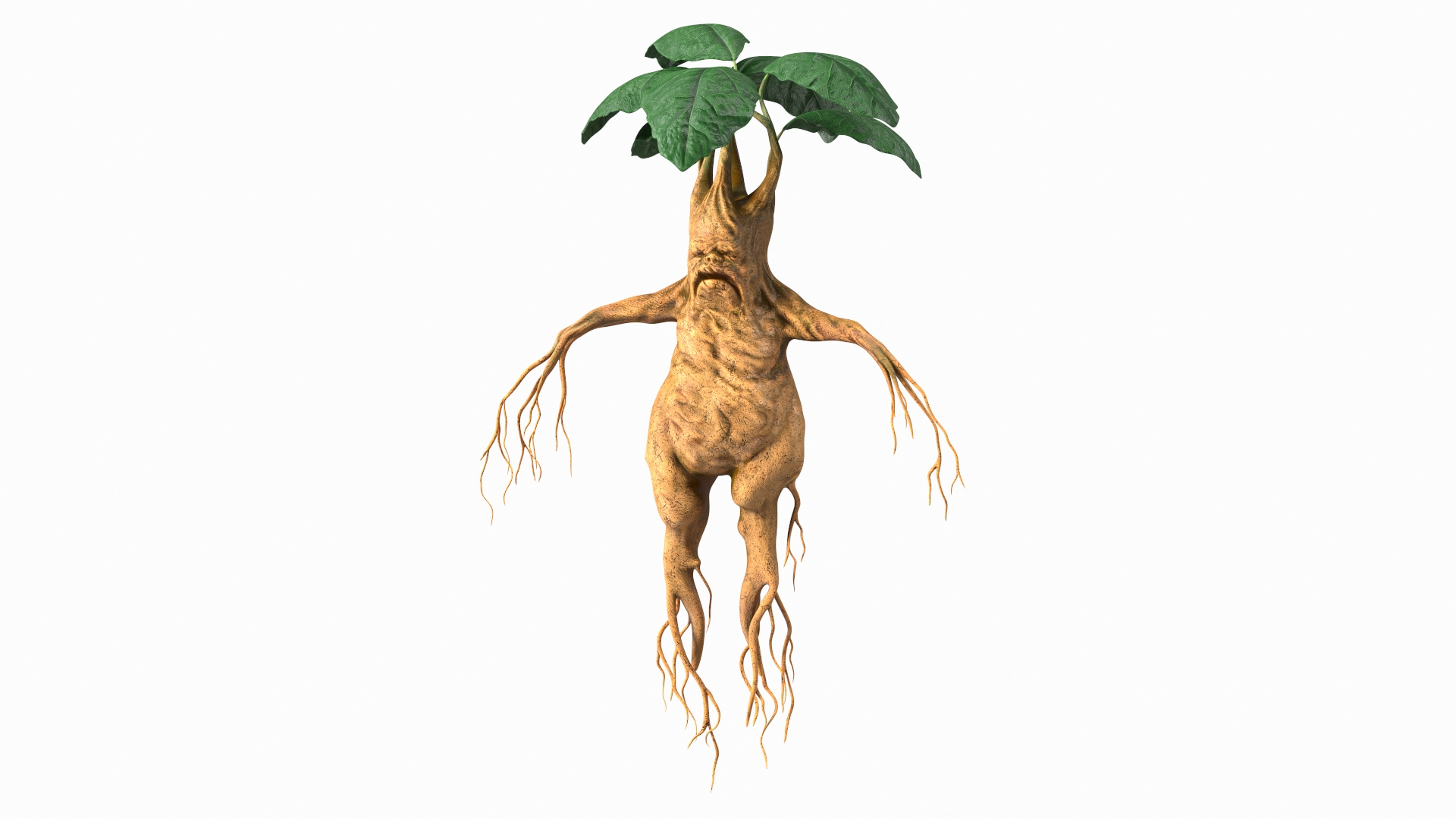 만드라고라 3D 모델 - TurboSquid 1848536