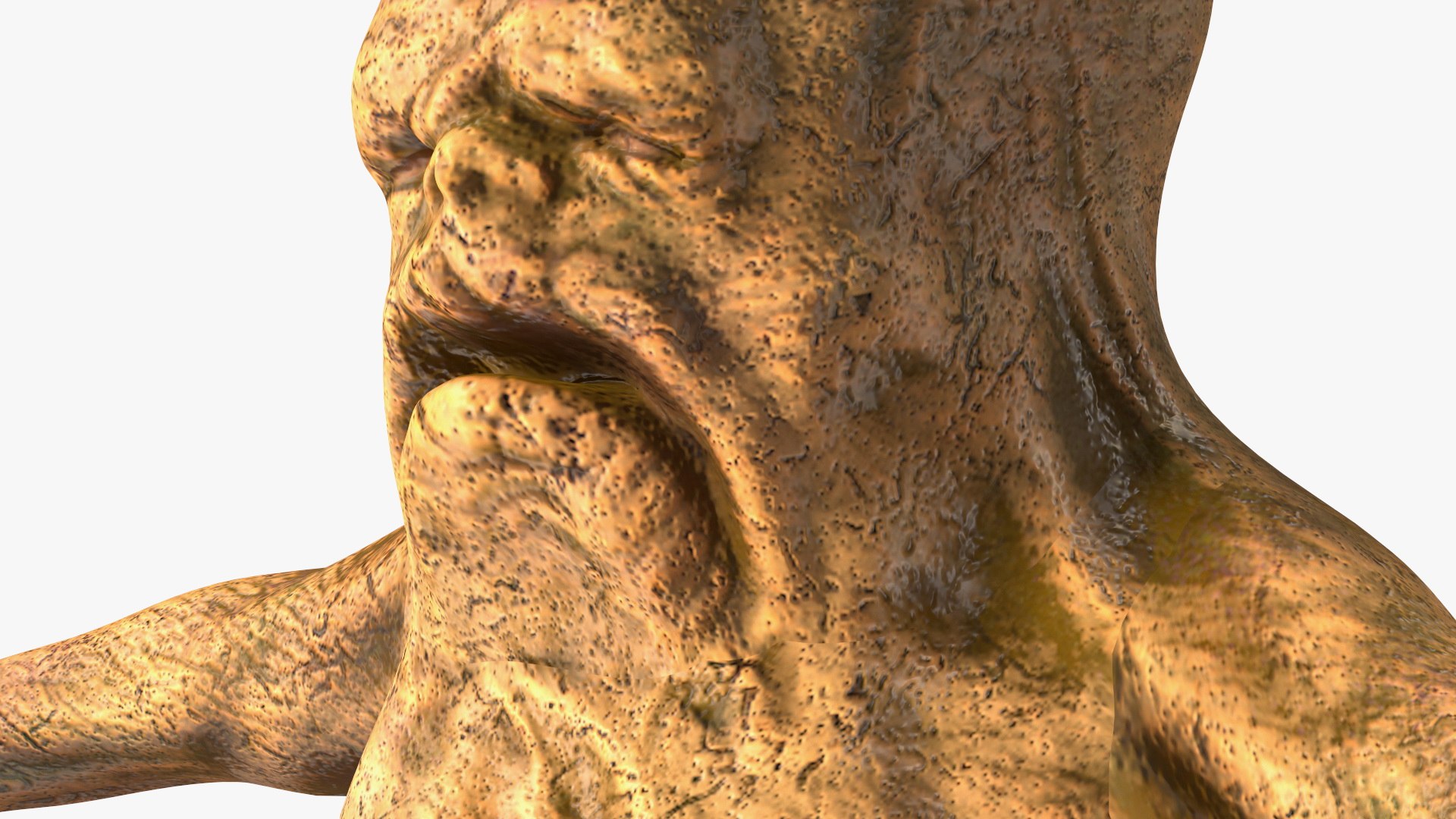 Mandragora 3D model - TurboSquid 1848536