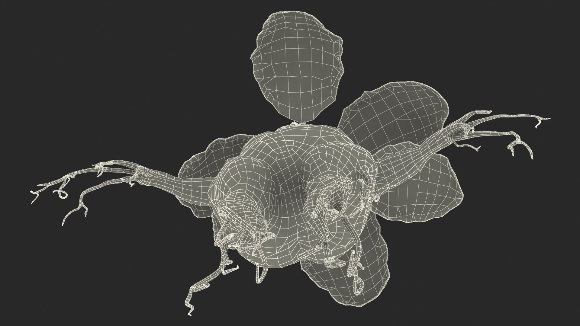 Mandragora 3D Model - TurboSquid 1848536