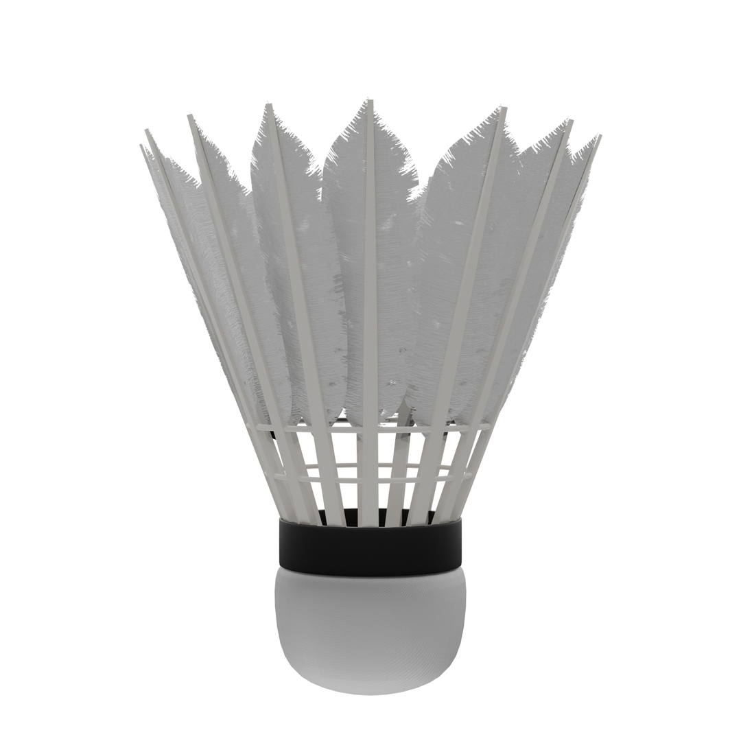 Free Shuttlecock 3D Model - TurboSquid 2151051