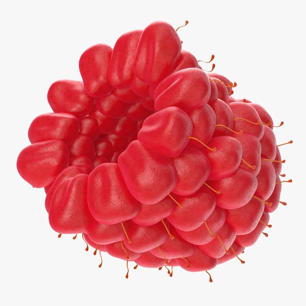 ripe red raspberry 3d 3ds
