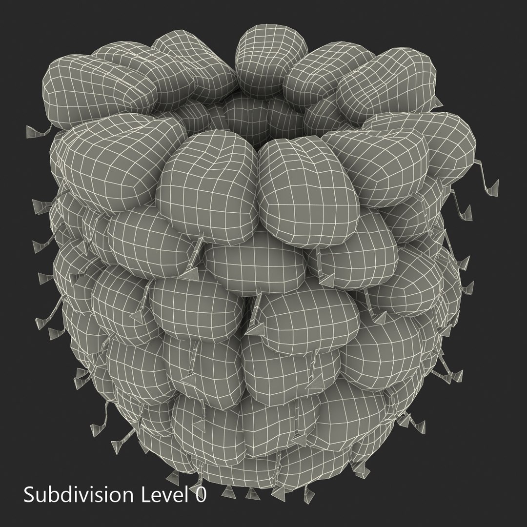 ripe red raspberry 3d 3ds