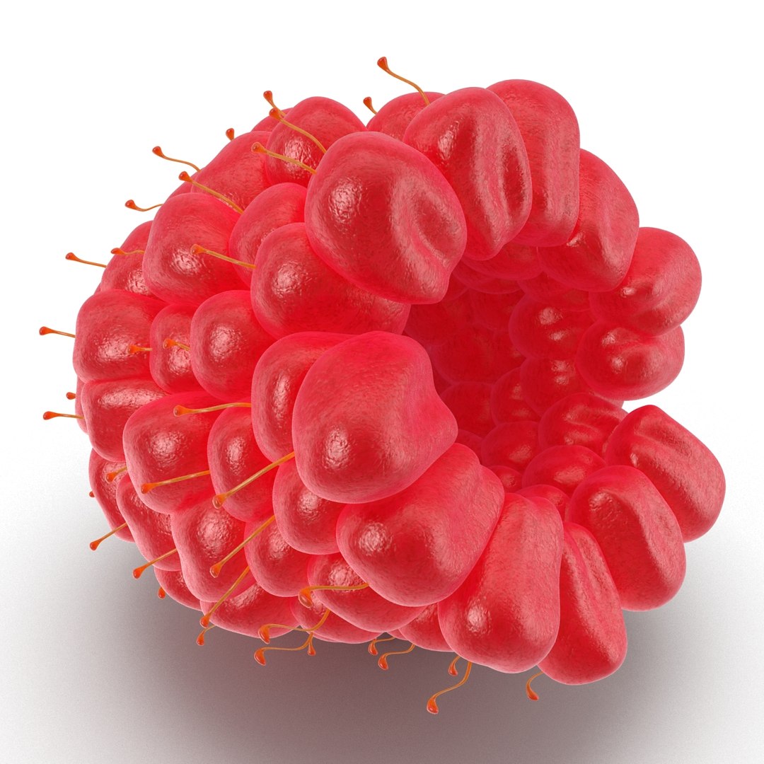 Ripe Red Raspberry 3d 3ds