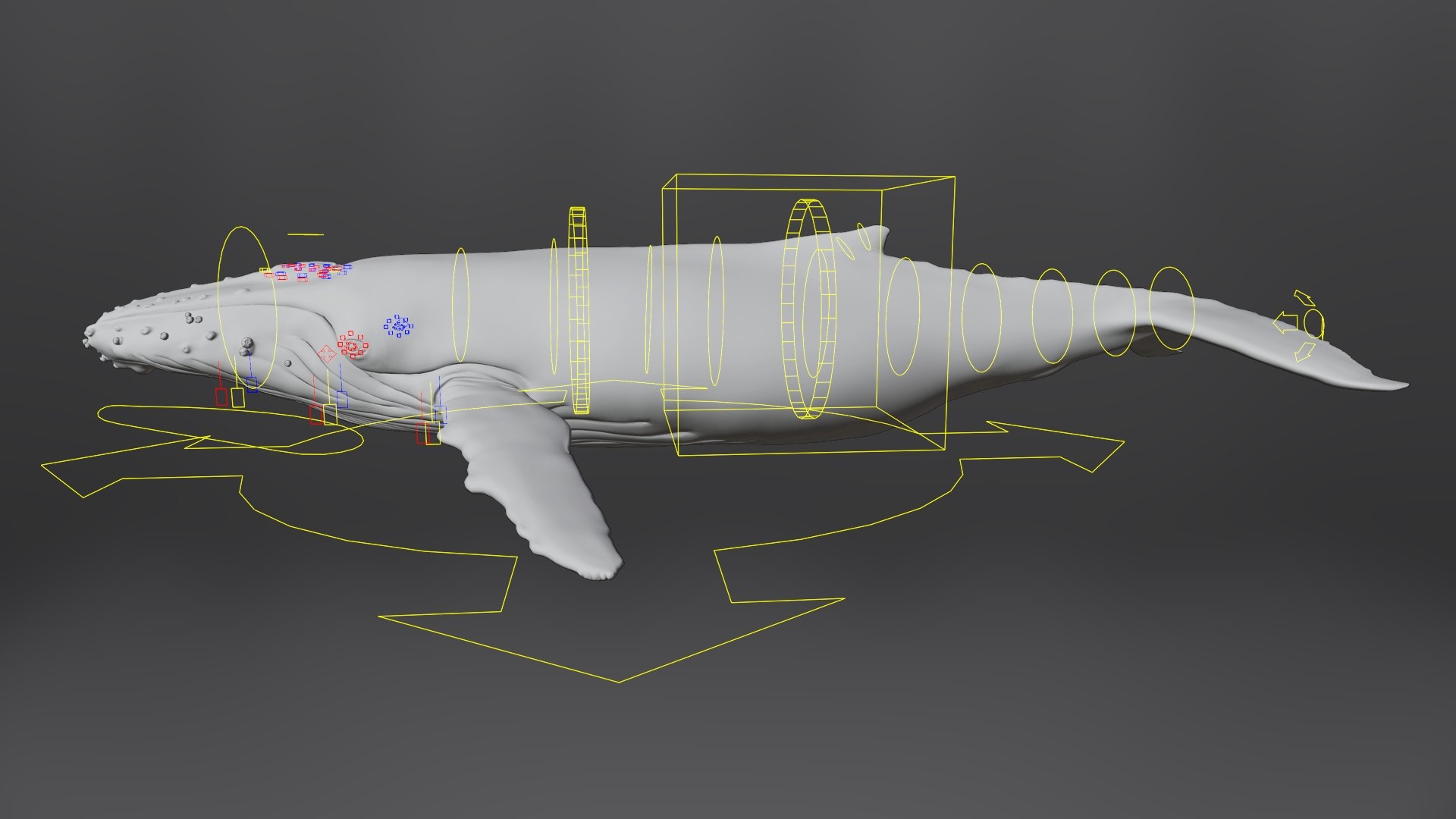 3D Humpback Whale Animated Model - TurboSquid 2168836